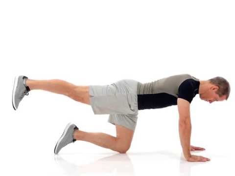 Four Way Hip Extension