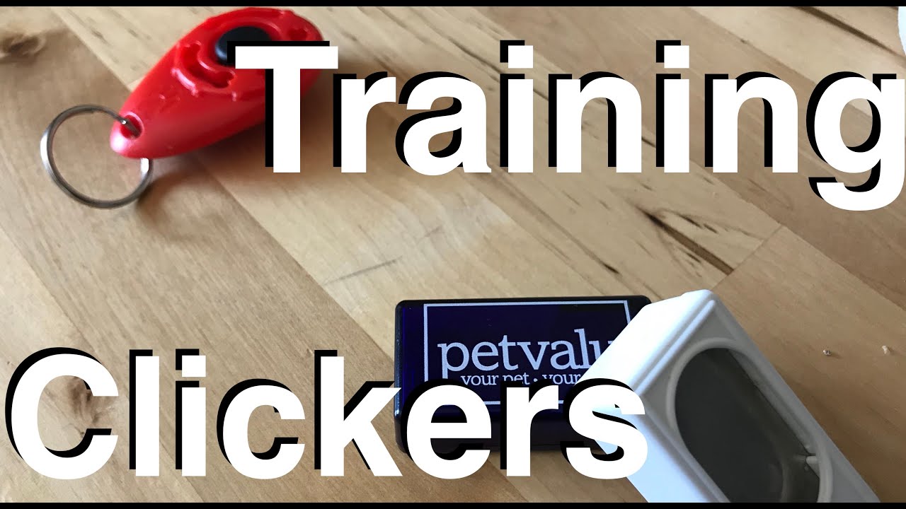 Training Clickers | Topics - YouTube