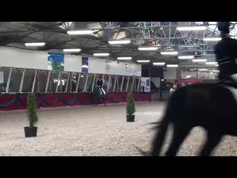 KONFUCIUS, Stallion, 2015, Charmeur x Flemmingh - YouTube