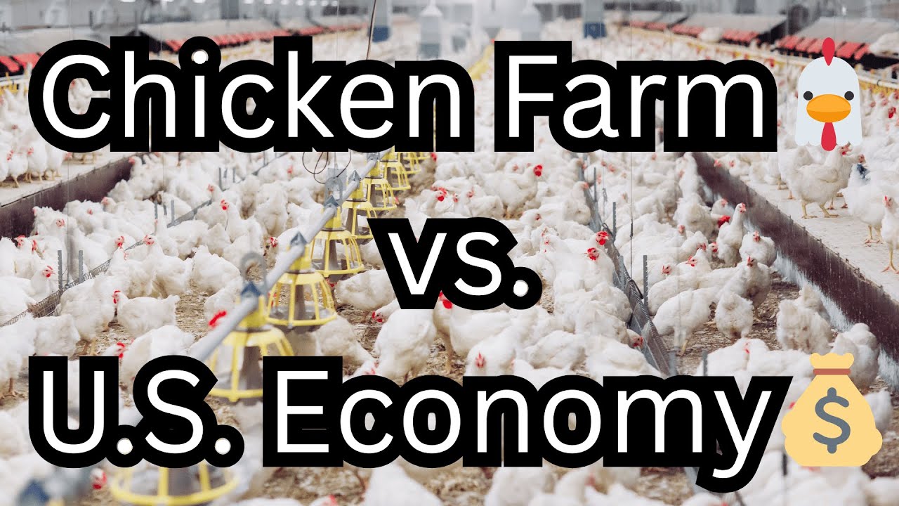 How a Chicken Farm Explains the U.S. Economy & Inflation - YouTube