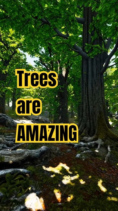 How Trees Secretly Talk - YouTube