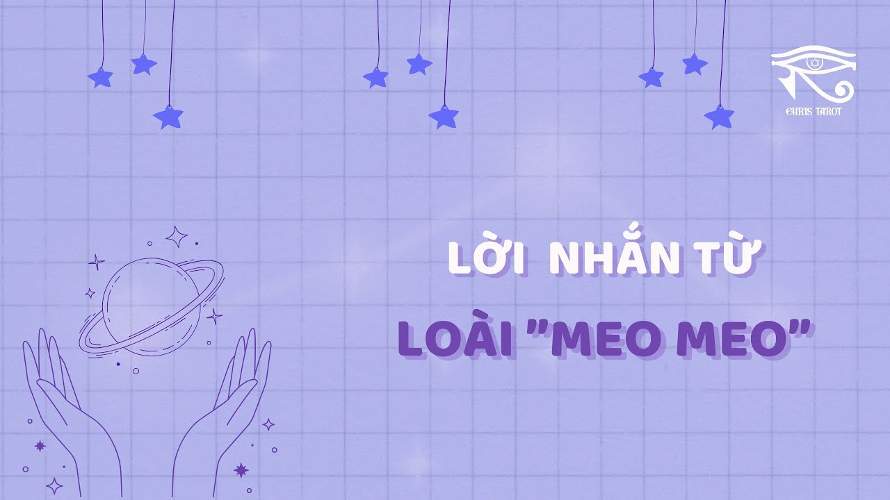 Tarot về bản thân | Lời nhắn từ loài MEO MEO | Chris Tarot - YouTube