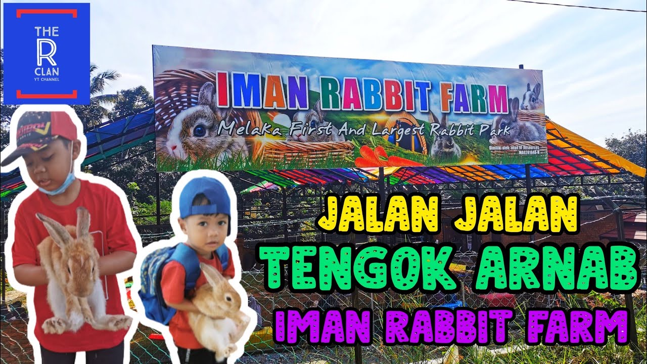 IMAN RABBIT FARM MELAKA : Jom Jalan Tengok Arnab - YouTube