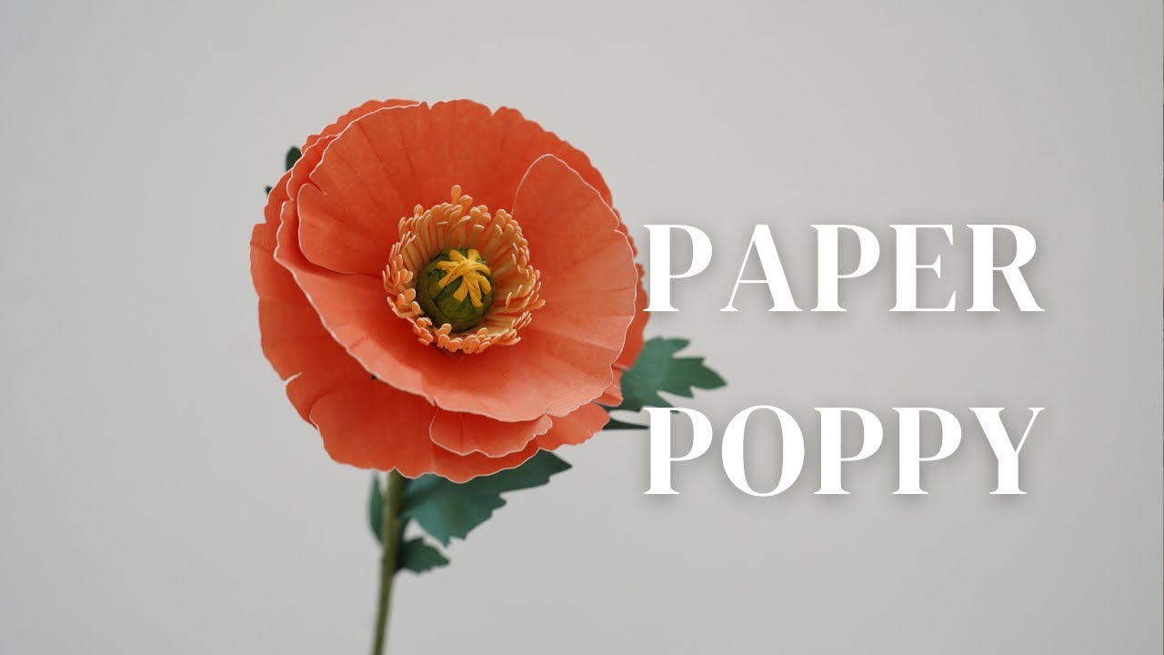 PAPER Poppy DIY Handmade Flower How to Crafts with Cardstock - YouTube