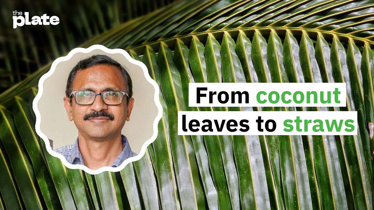 Straws from coconut leaves | Sunbird straws - YouTube