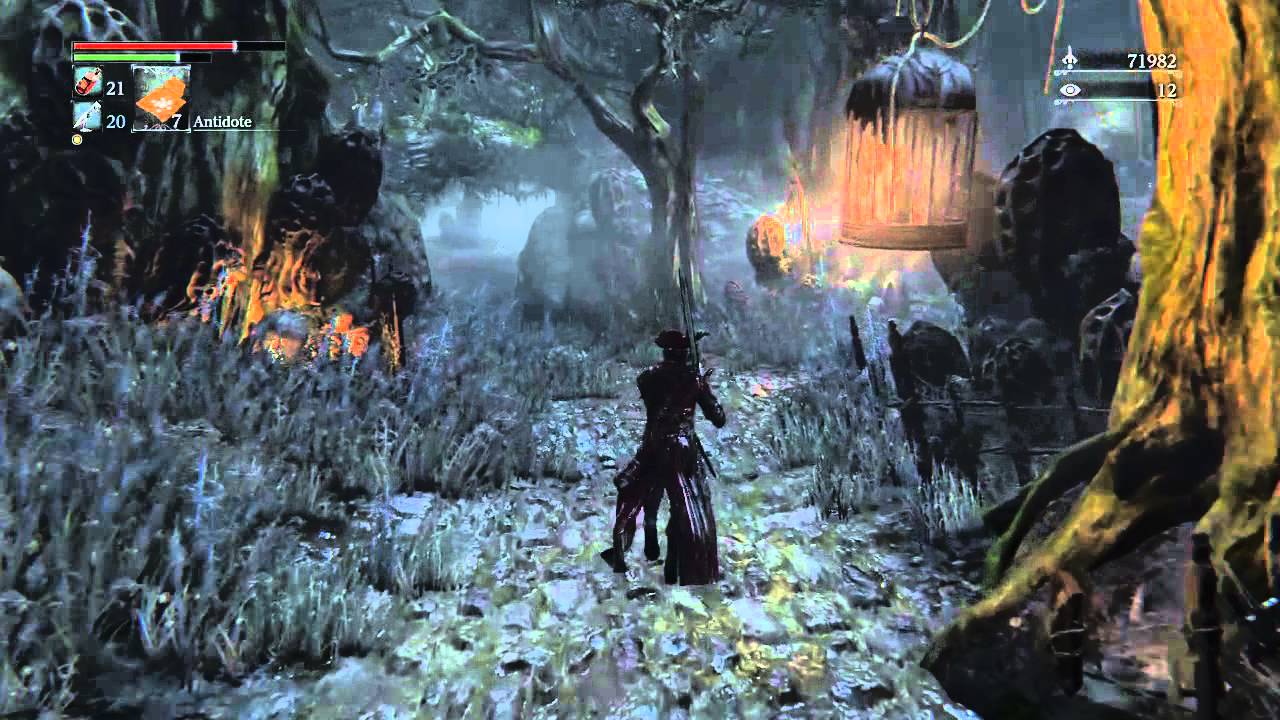 Bloodborne - Bloodstone chunk in Forbidden woods - YouTube