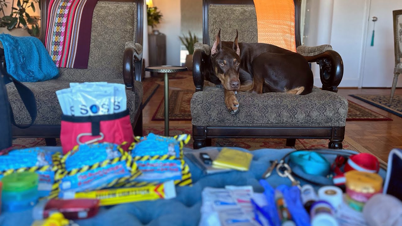 Beau Packs A Bag - Washington, DC, USA - YouTube