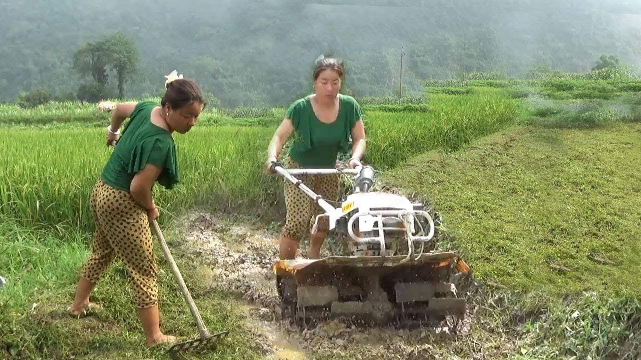 TIMELAPSE:Full video: Genius girl repairs and restores various types of ...