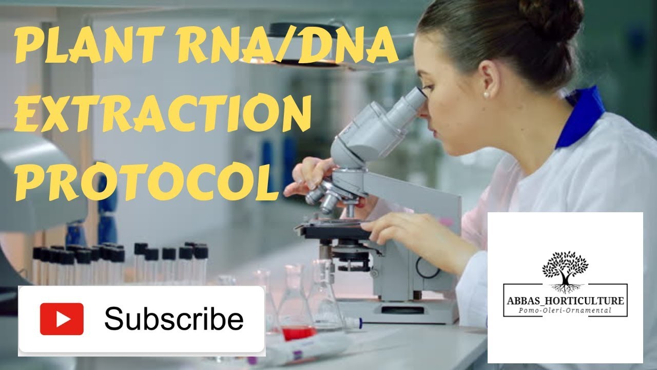 Plant RNA/DNA Extraction Protocol - YouTube