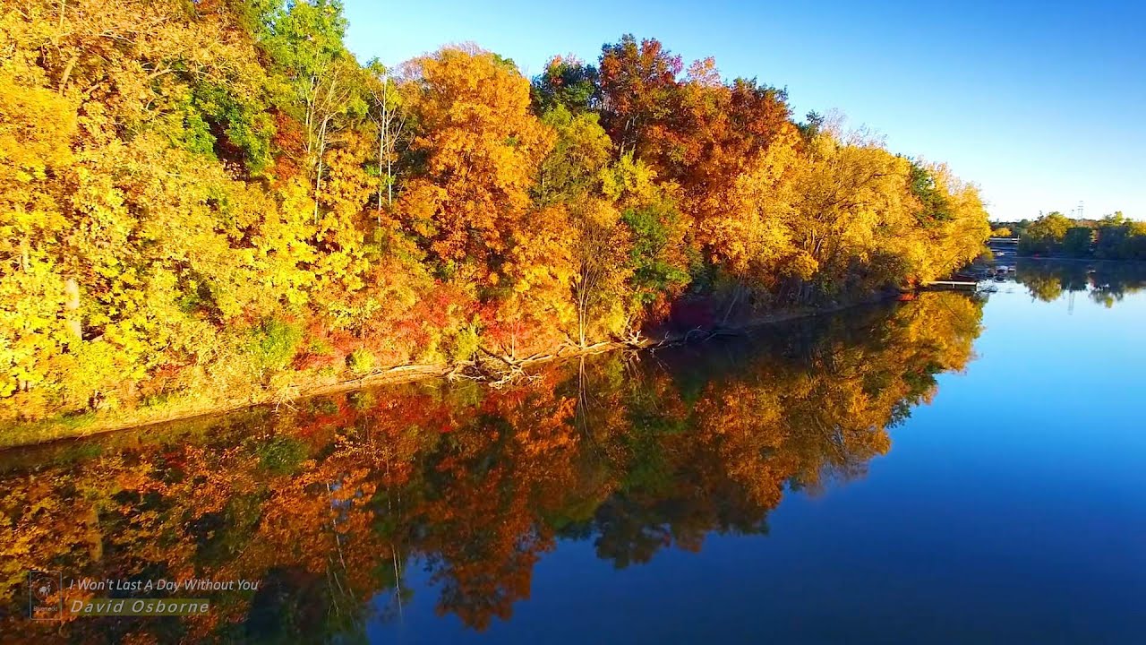 Autumn - Sergey Chekalin ~ | [Relaxing Pure Music] - YouTube