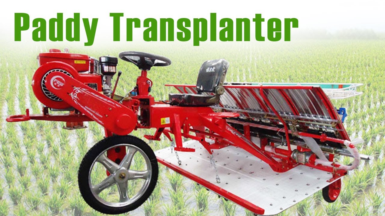 paddy transplanter/How to realize mechanization of rice transplanting ...