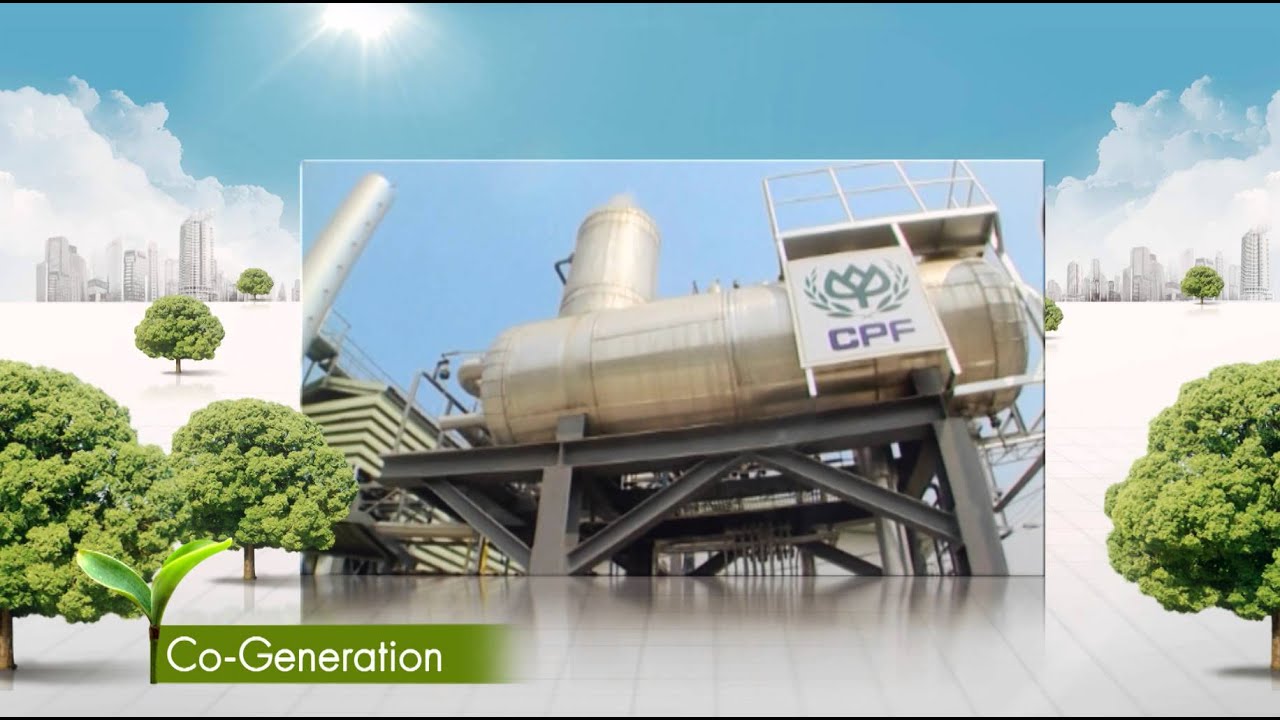 CPF : รับผลิต 3D 2D Animation,Motion graphic,Infographic,3D Walkthrough ...