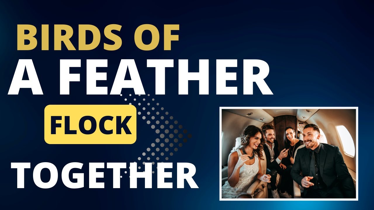 How Birds Of A Feather Flock Together To Achieve Success - YouTube