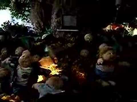 Mother Cabbage giving birth!