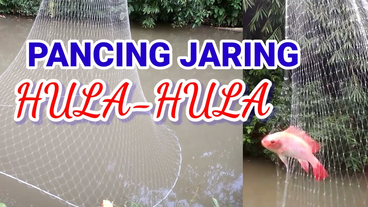 Cara mancing dengan JARING HULA-HULA //JARING GABRUK - YouTube