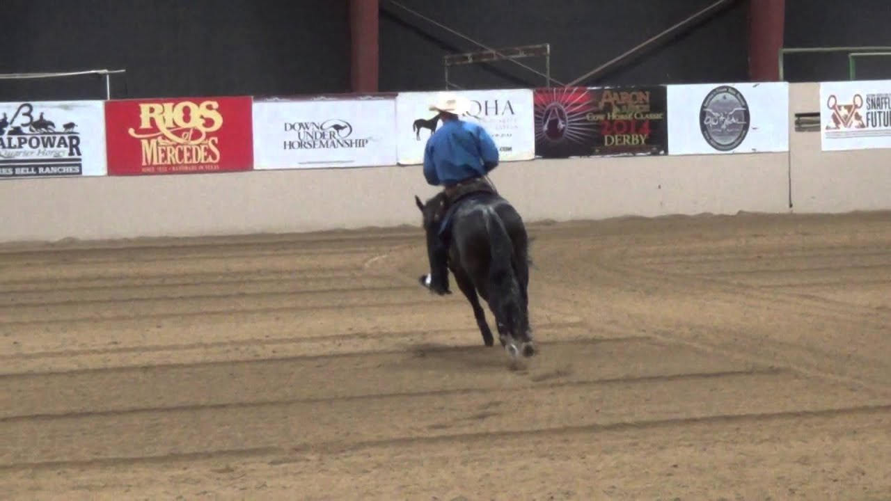 Nics Flashy Dresser Lance D Johnston Rein Work - YouTube