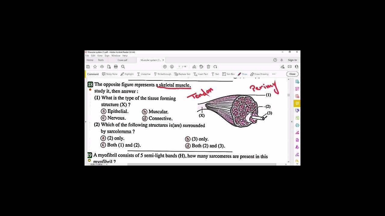 Session 5:/Answers of El-moaaser Questions on lesson 2.. Movement in ...