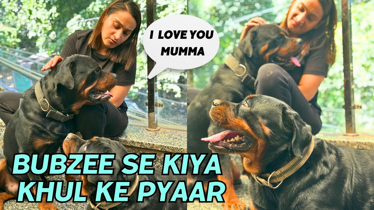 Bubzee Ko Aaj Khul Ke Pyaar Kiya: Udaas Rottweiler Bubzee Khush Ho Gaya ...