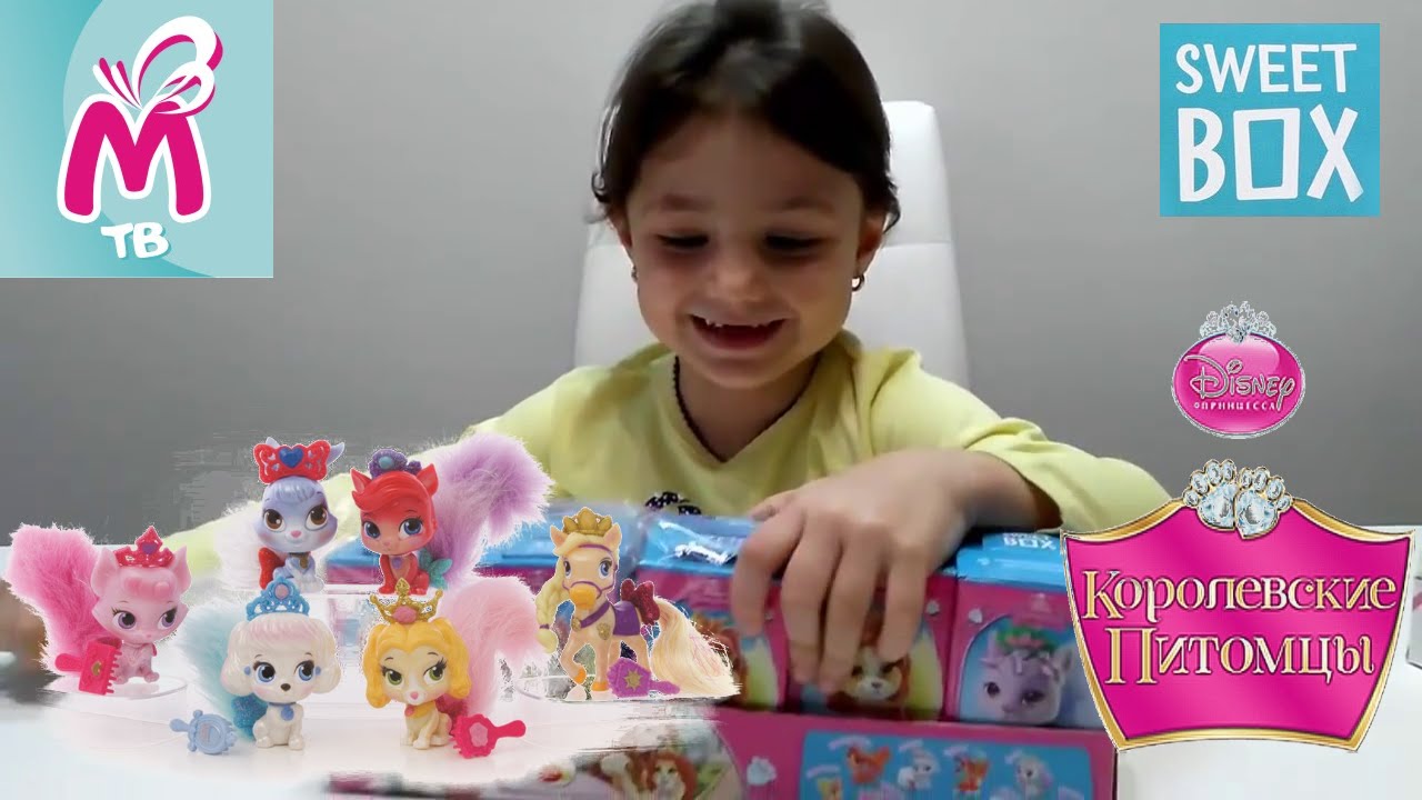Свит боксы Королевские питомцы. Royal Pets toys surprises Kinder ...