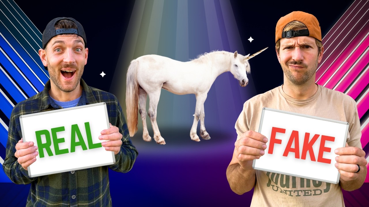 REAL or FAKE Challenge?!!! - YouTube
