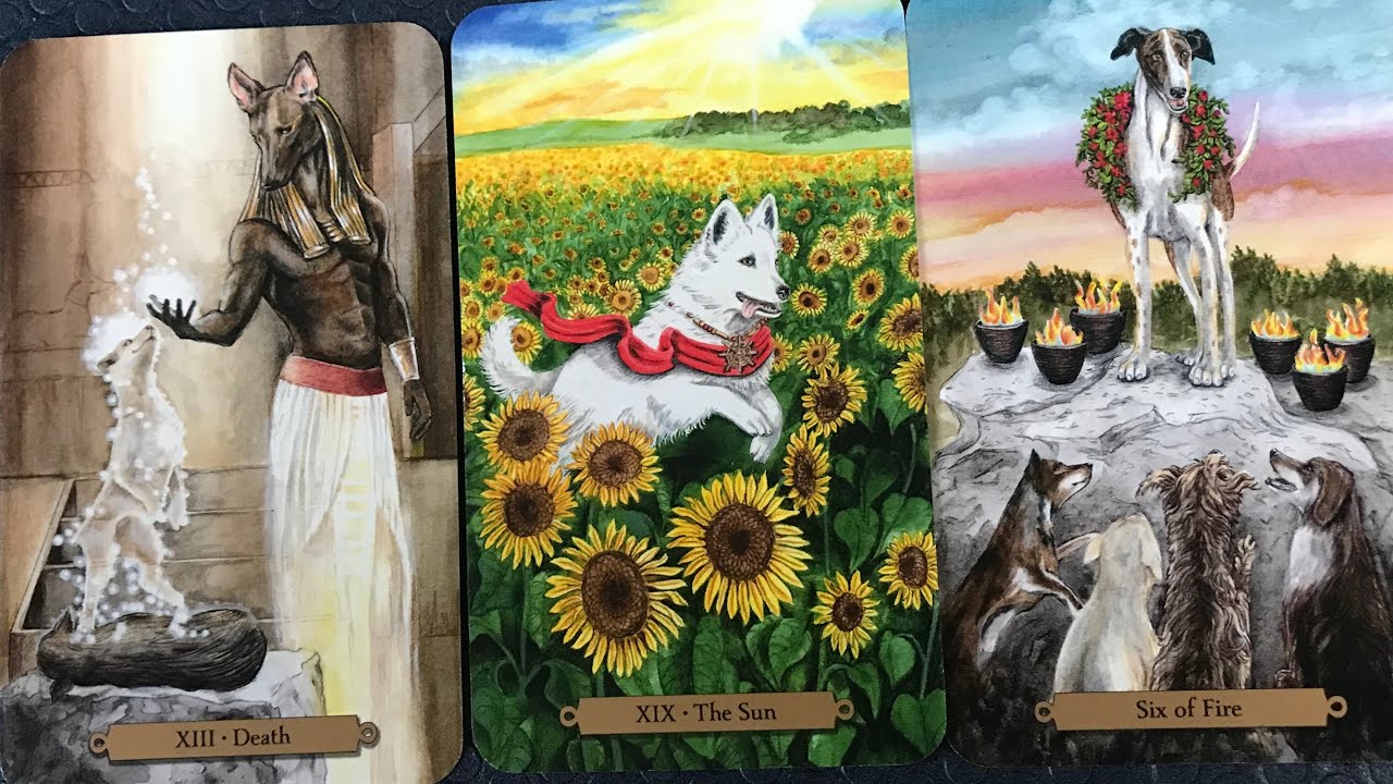 Magical Dogs Tarot-Unboxing/Walkthrough - YouTube