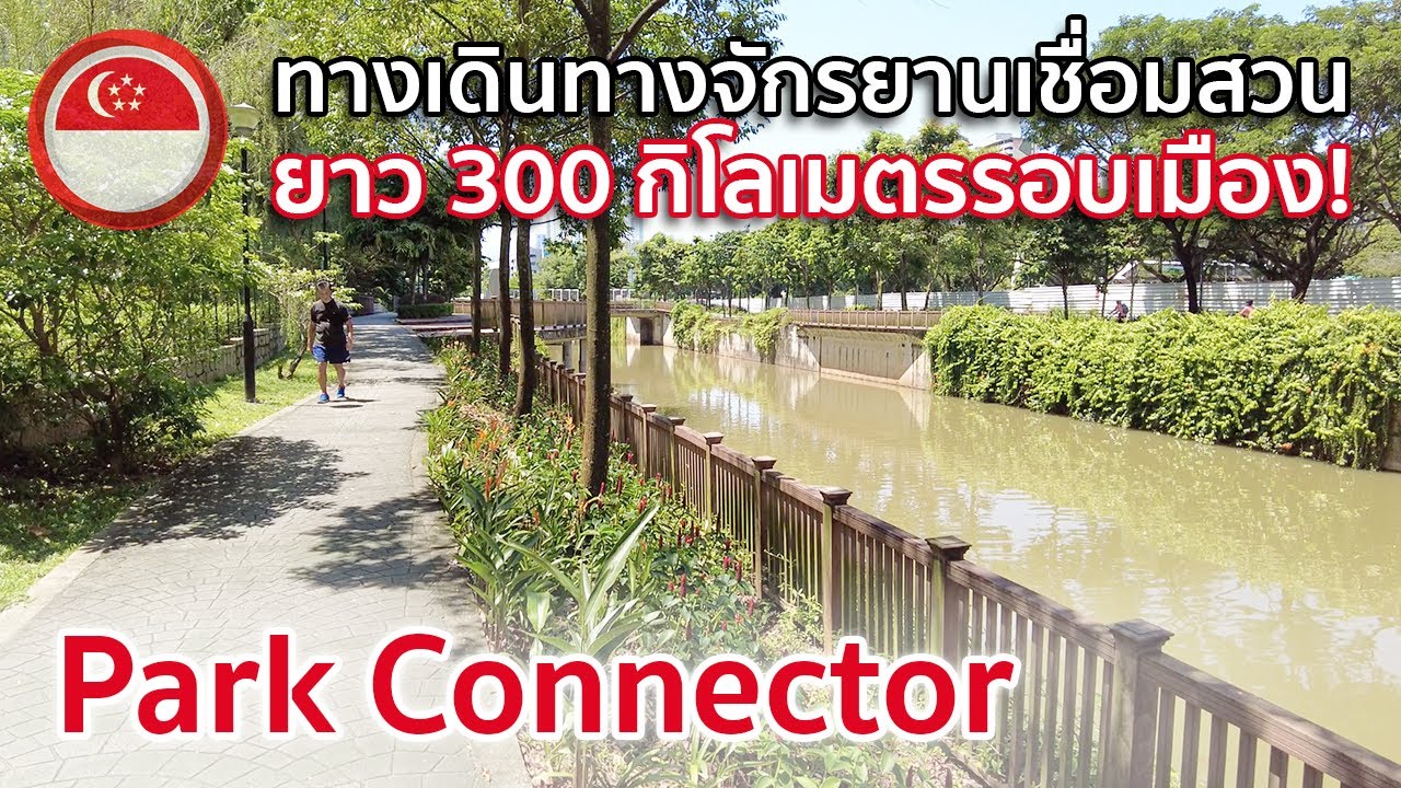 พาร์ค คอนเนคเตอร์ ทางเชื่อมชุมชนสู่สวนสาธารณะ | SINGAPORE ON SITE EP7 ...