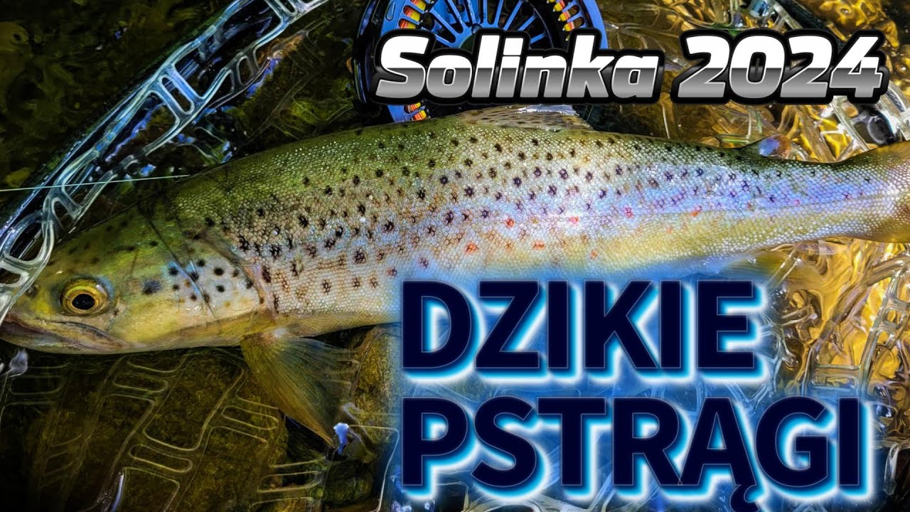 Solinka 2024//Dzikie pstrągi//super łowienie i ryby. #traper - YouTube