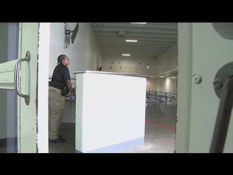 Woman recently released from Henry County Jail speaks about 'inhumane ...