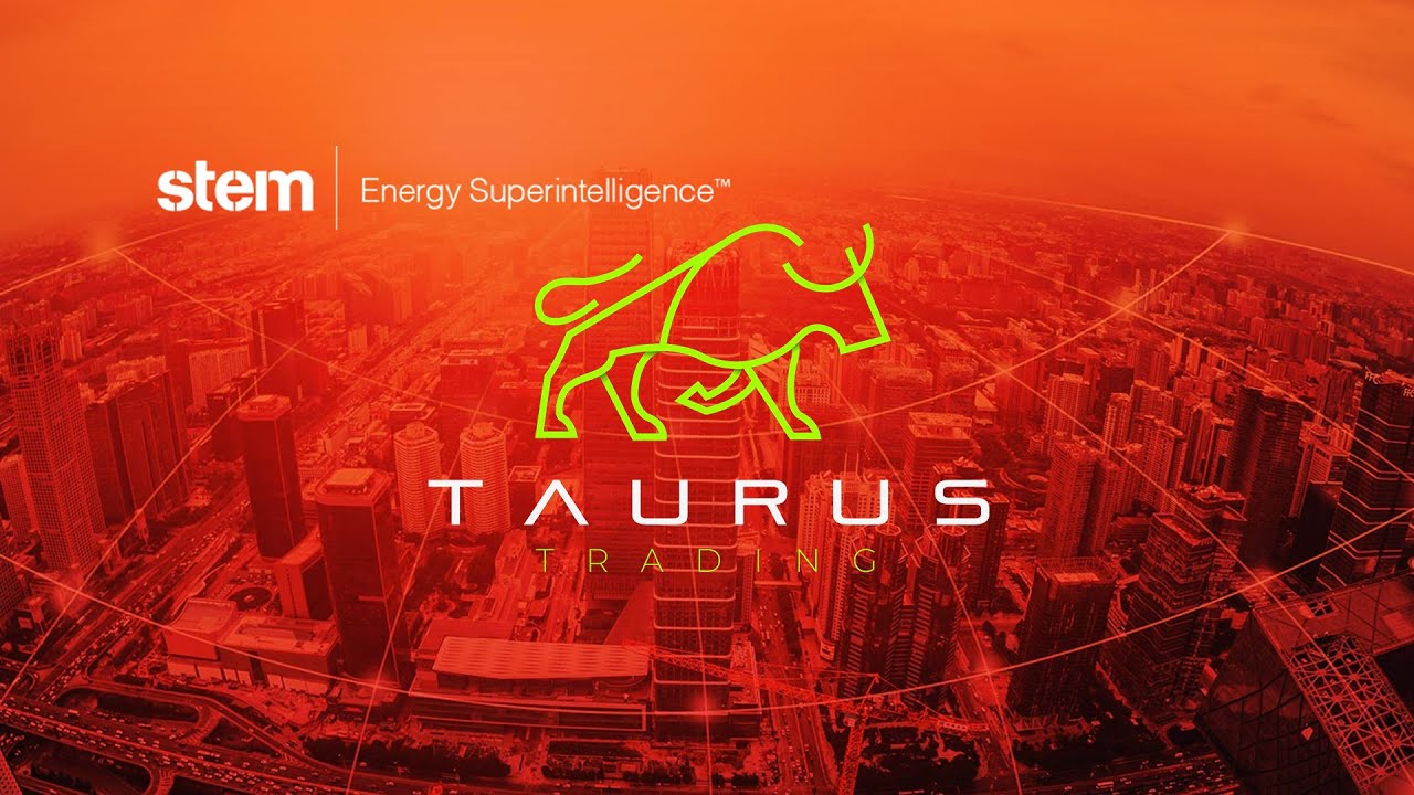 Stem Inc. (STEM) - The Most Important Stock of the Next 30 Years ...