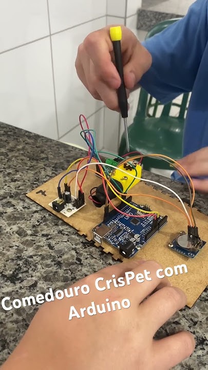 Construindo um Comedouro de Pets com Arduino - YouTube
