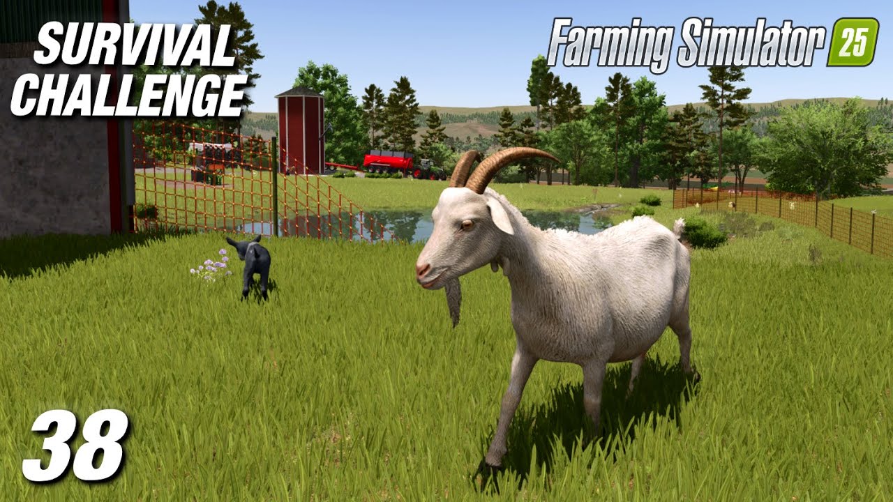 THE GOATS ARRIVE! | Survival Challenge | Farming Simulator 25 - Ep38 ...
