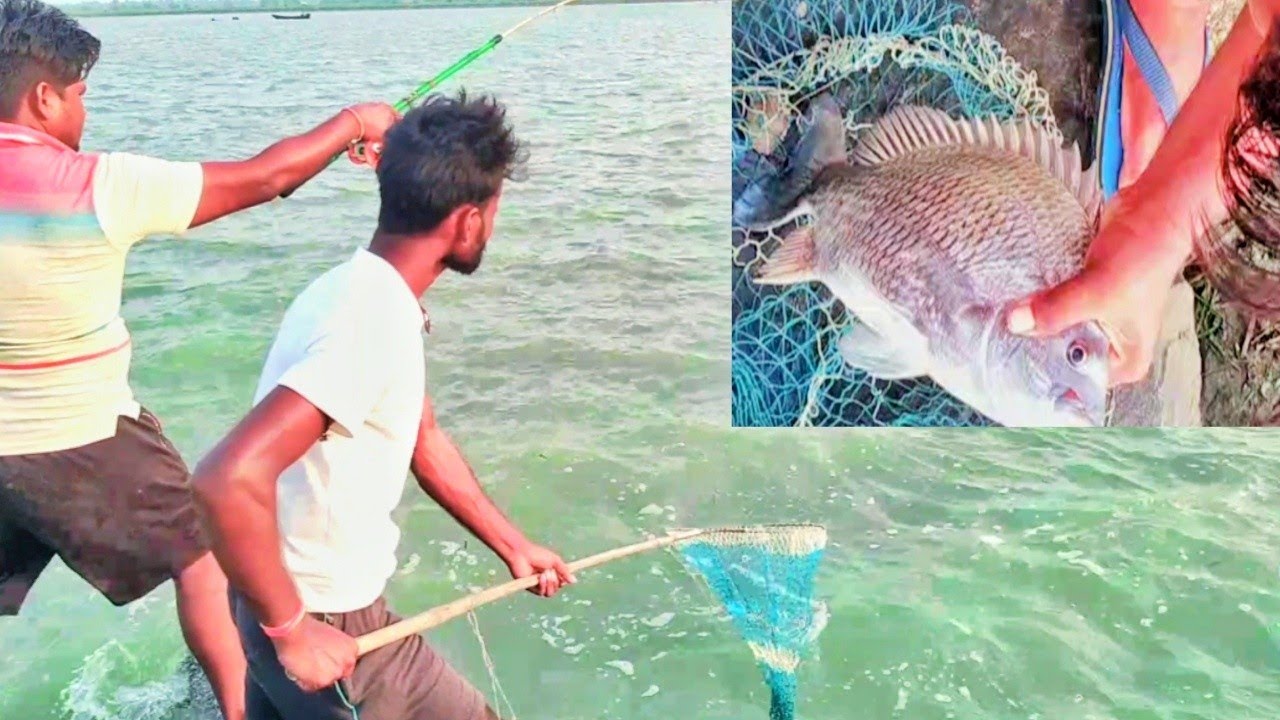 Amazing 😍 Style Catching Fish 🐟 Subharnarekha River Traditional Hook ...
