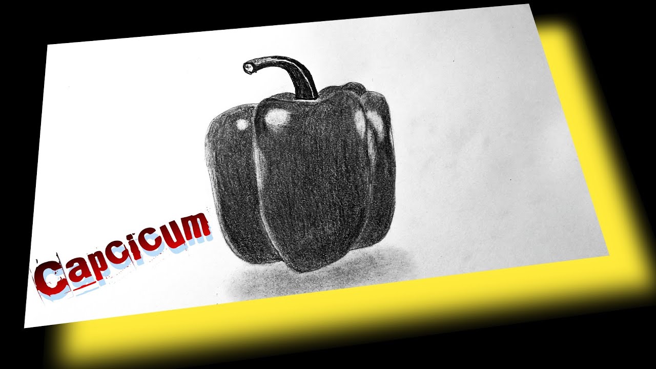 Step By Step Capcicum Drawing | How To Draw | G Gallantry Official ...