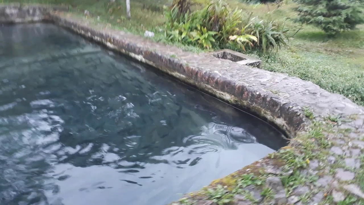 criadero de trucha en plena selva cochabamba bolivia - YouTube