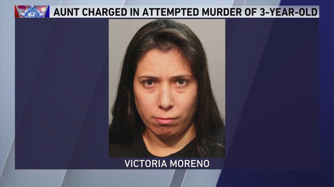 Woman charged after 3-year-old nephew pushed into Lake Michigan: police ...