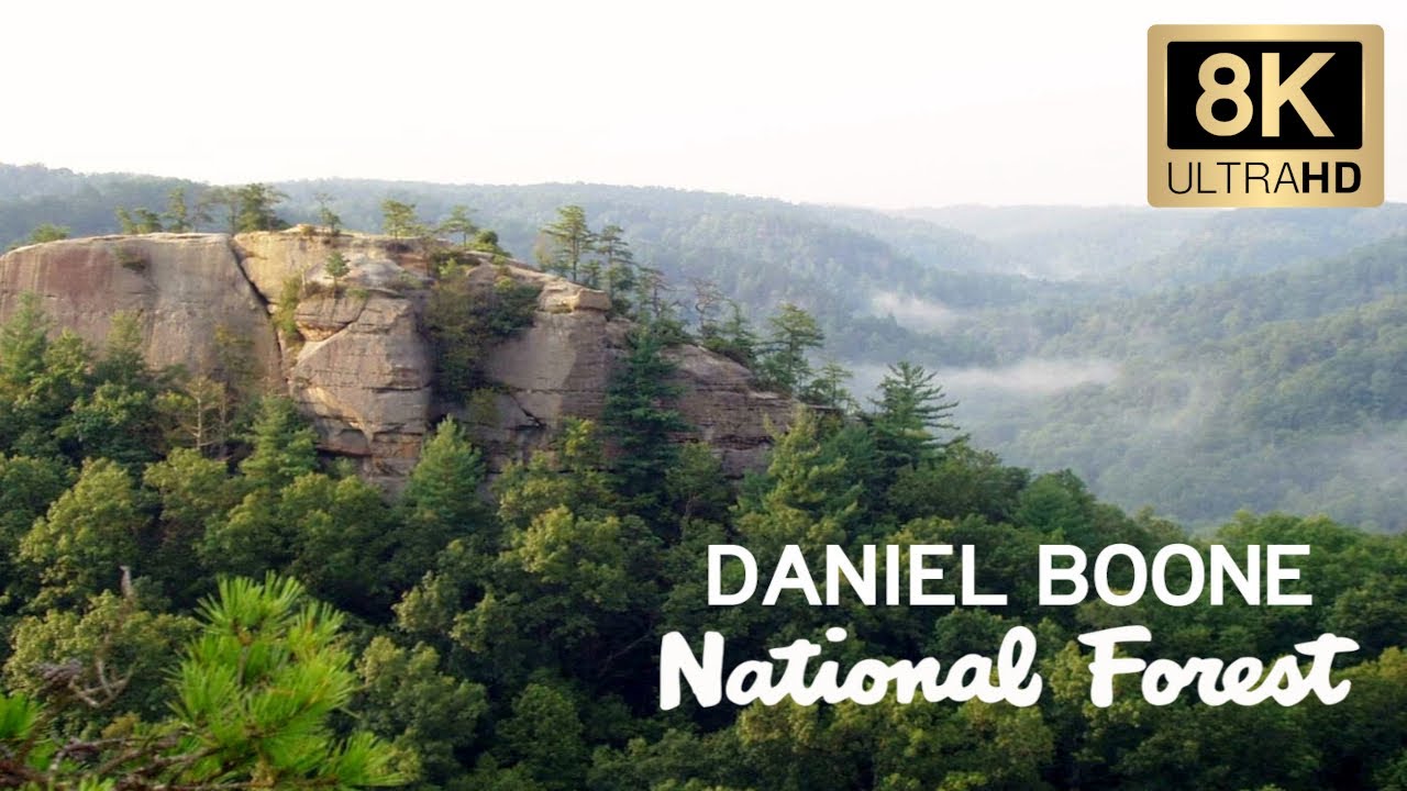 The Scenic Overlook at Daniel Boone Forest (located on KY 90) - 8K Kentucky Travel VLOG & Review ...