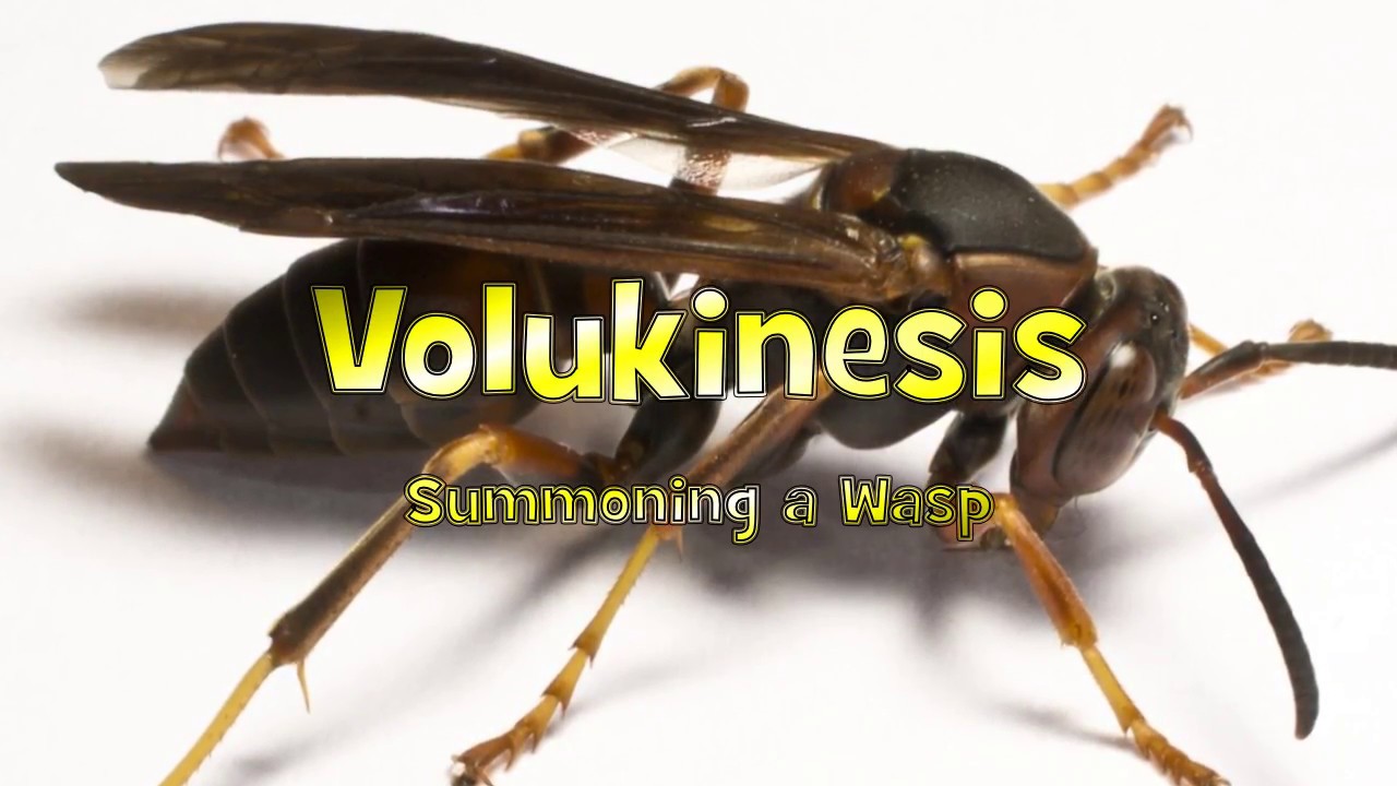 VOLUKINESIS☬ Petting a Wasp, Summoning: Fly, Moth, Butterfly & More ...