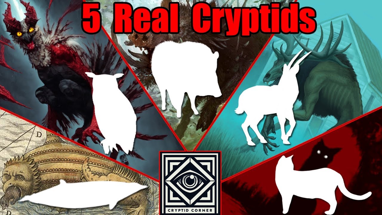 5 Cryptids That Actually Exist - YouTube