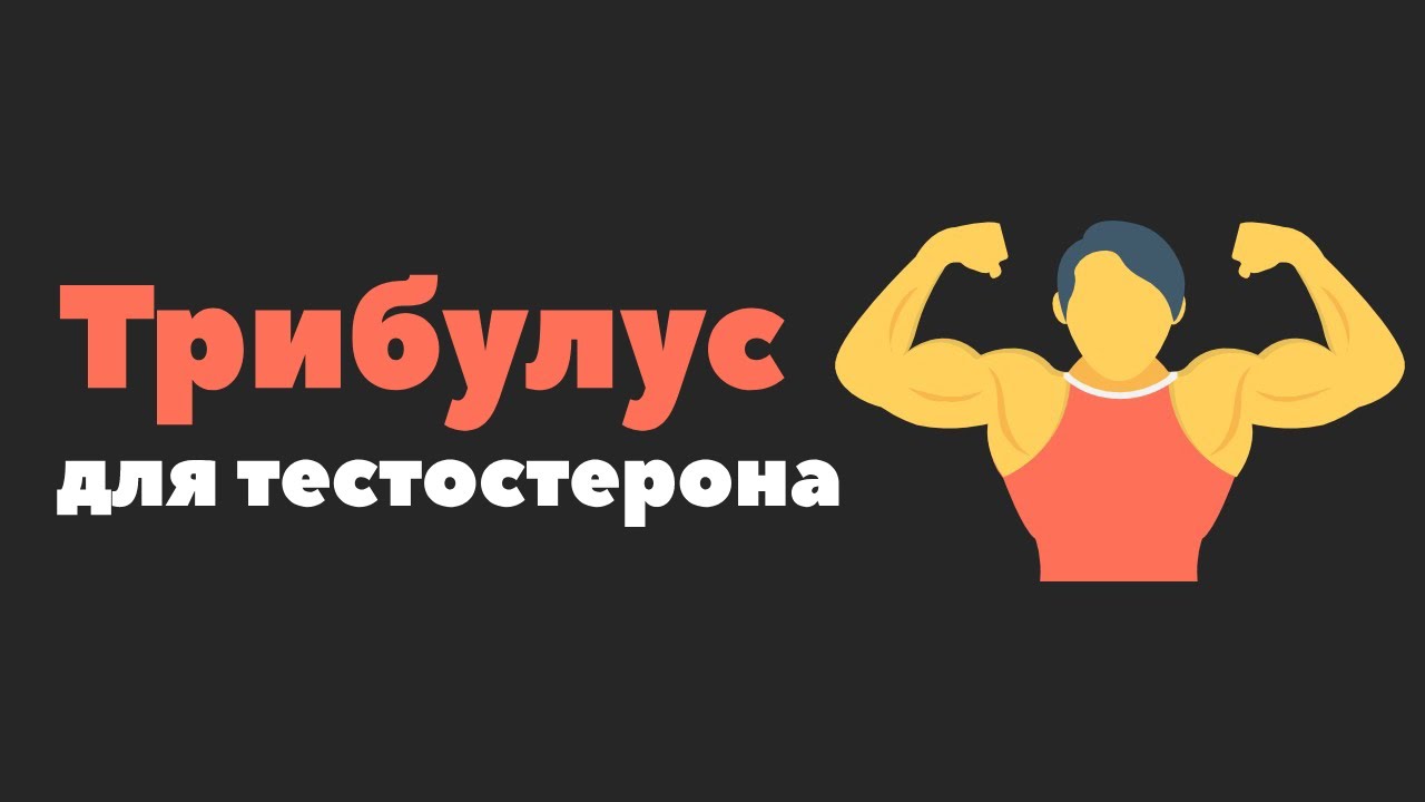 Трибулус: влияние на тестостерон, либидо и сахар в крови - YouTube