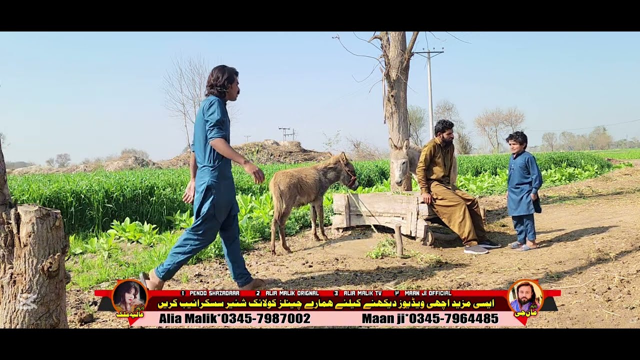 NA FARMAN NEW STORY ALIYA MALIK AND MAAN JEE TEAM NEW VIDEO 2025 - YouTube