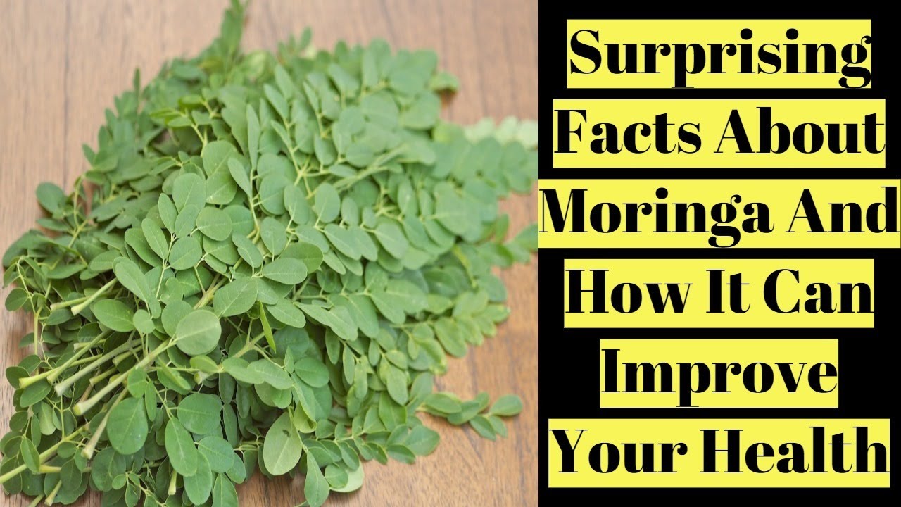 Surprising Facts About Moringa And How It Can Improve Your all over ...