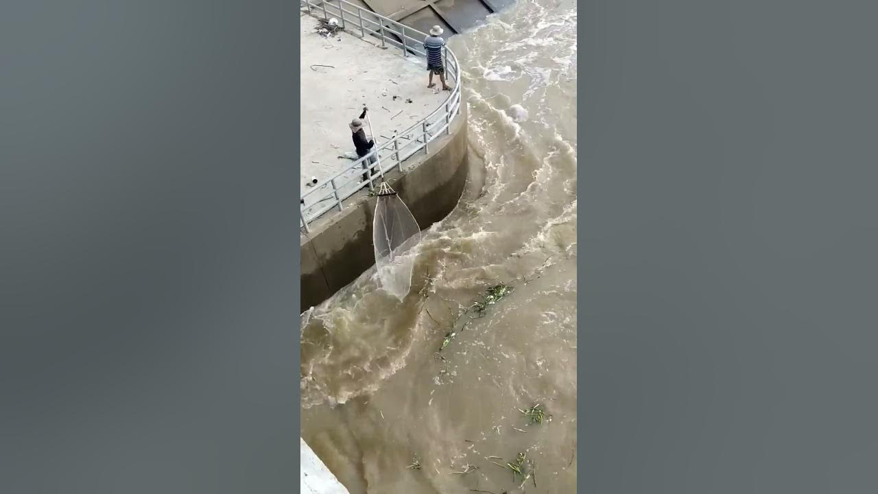 Fantastic fishermen use scoop net catch fish in village #fishing #scoop ... Fantastic fishermen use scoop net catch fish in village #fishing #scoop ...