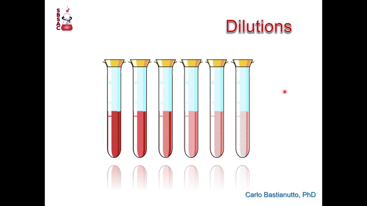 BIO358 - Lab 4 - Dilutions - YouTube