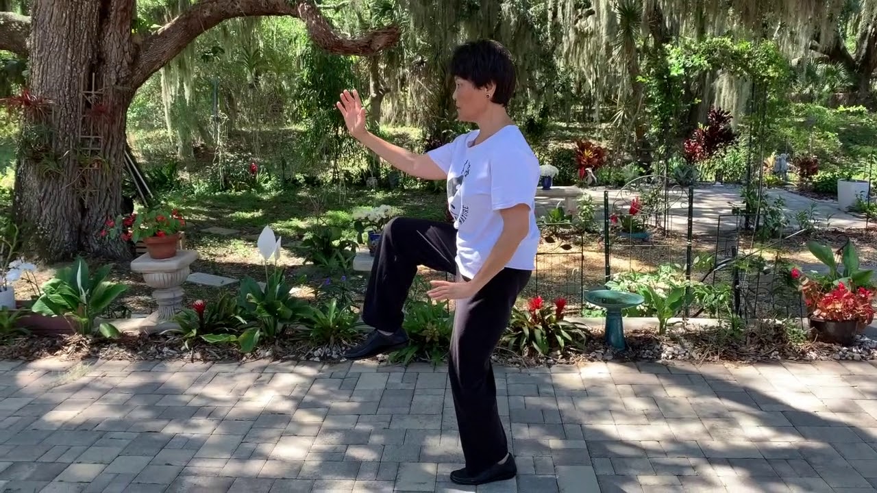 Tai Chi 42 Steps, movement 16 to 42 - YouTube