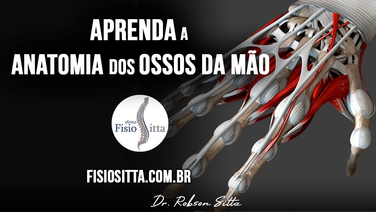 ANATOMIA da. MÃO e OSSOS CARPO METACARPO FALANGES vídeo aula Clínica de ...