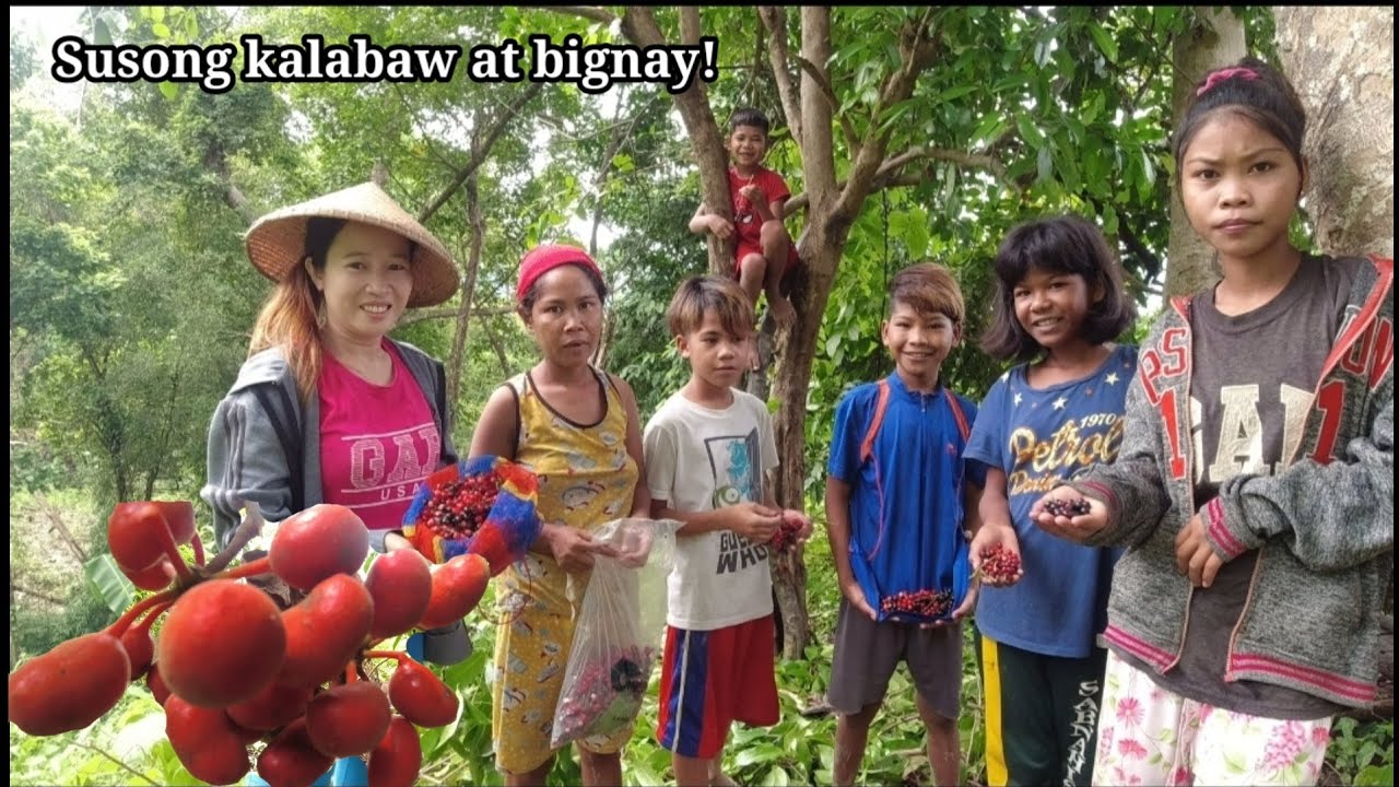 Pag akyat sa bundok Limbot|Kumuha ng susong-kalabaw(Allagat) at bignay ...