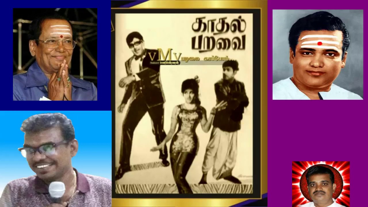 Pattu Poochi Pattu Poochi Pappa kathal Paravai 1967 T M Soundararajan ...