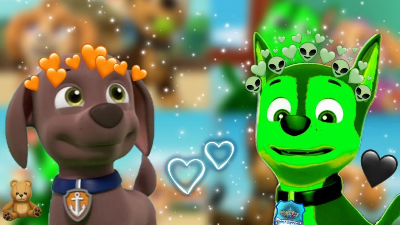 💥Коллаб с 𝐙𝐮𝐦𝐚 𝐝𝐨𝐠 ( @zuma53578 ) 💞Гончик и Скай💞 / 💚Зеллиот и Скай💚 ...