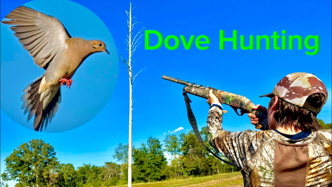 Dove hunting{Catch, Clean, Cook} - YouTube