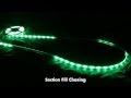 12v Chasing LED Light Strips | LED Light Bundle | Birddog Lighting